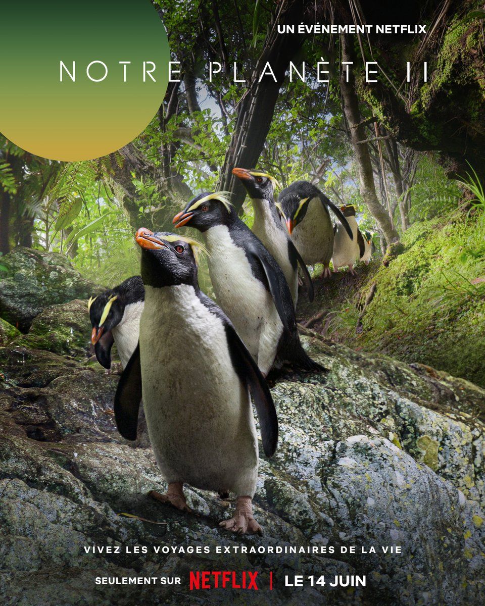 Notre planète Saison 2 - AlloCiné