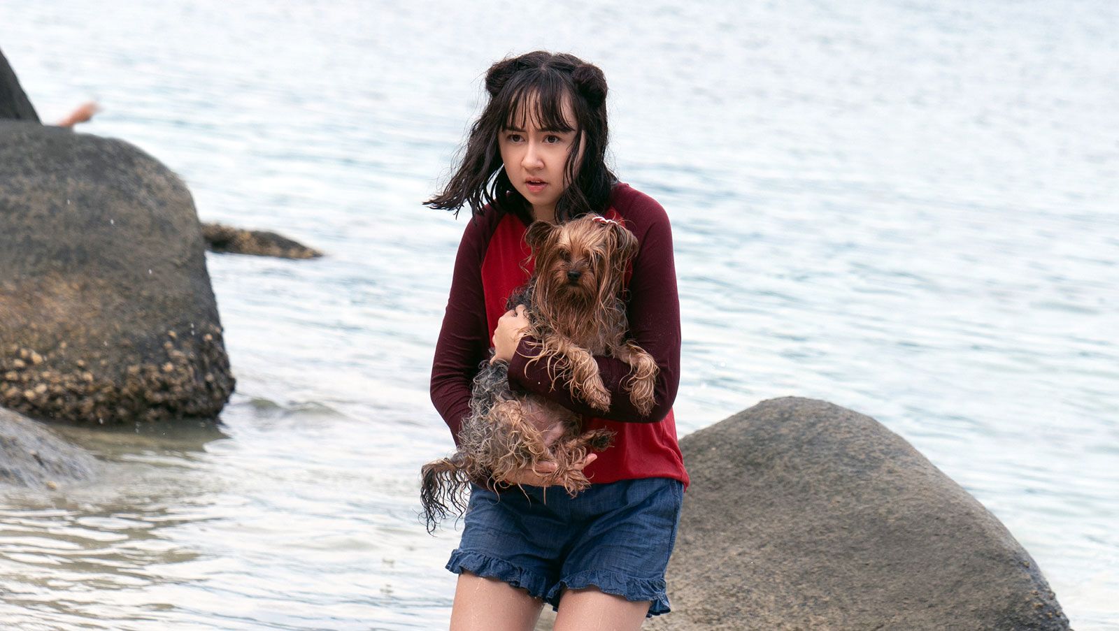 Photo de Shuya Sophia Cai - En eaux très troubles : Photo Shuya Sophia ...