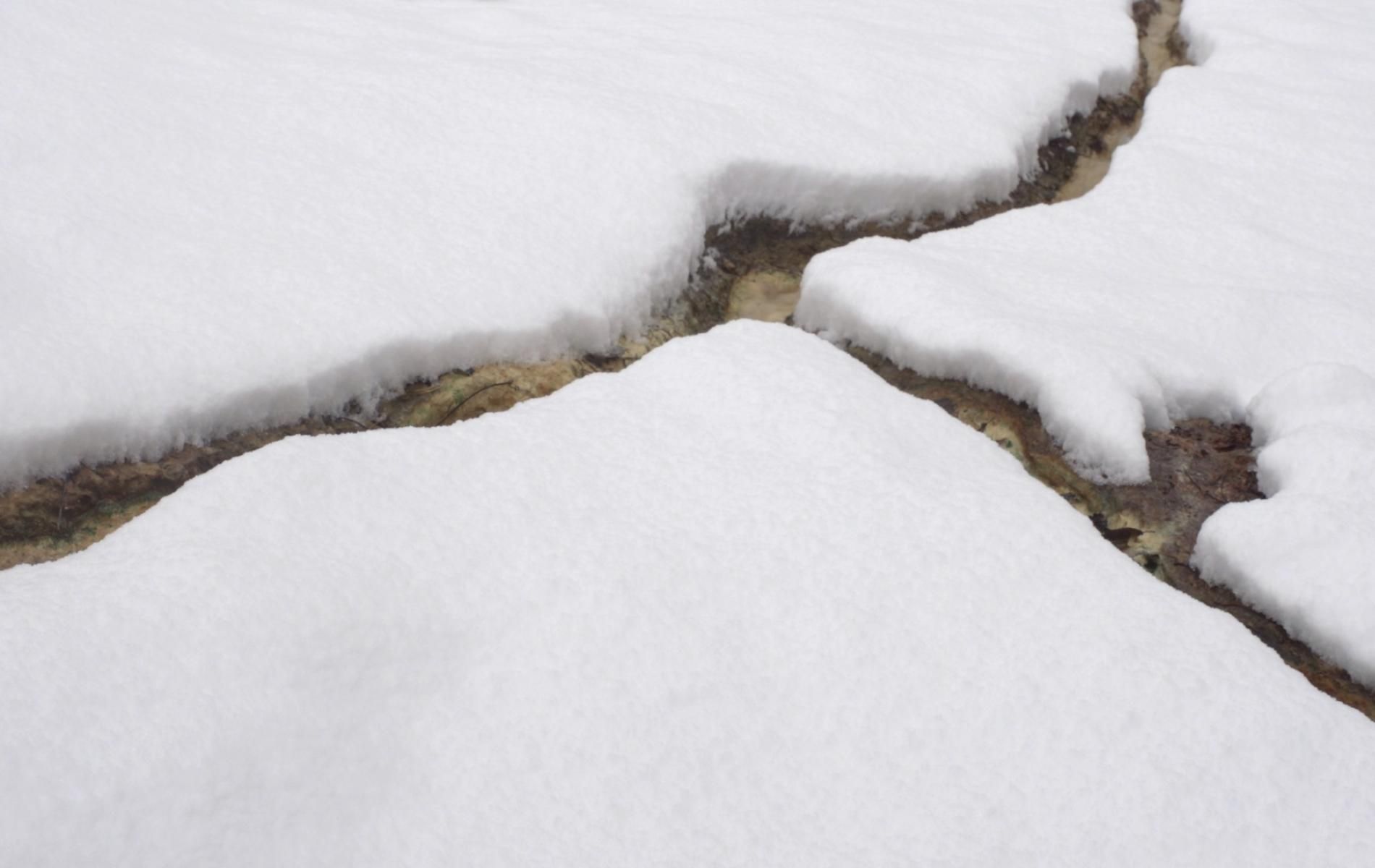 Photo du film Disturbed Earth - Photo 1 sur 2 - AlloCiné