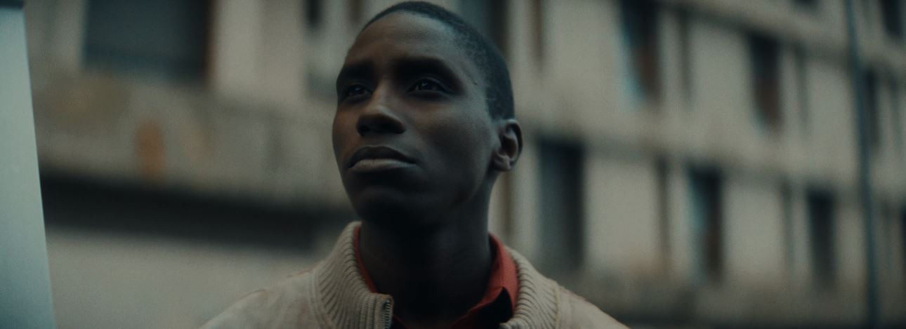 Photo de Birane Ba - Coléoptère : Photo Birane Ba - Photo 3 sur 5 ...