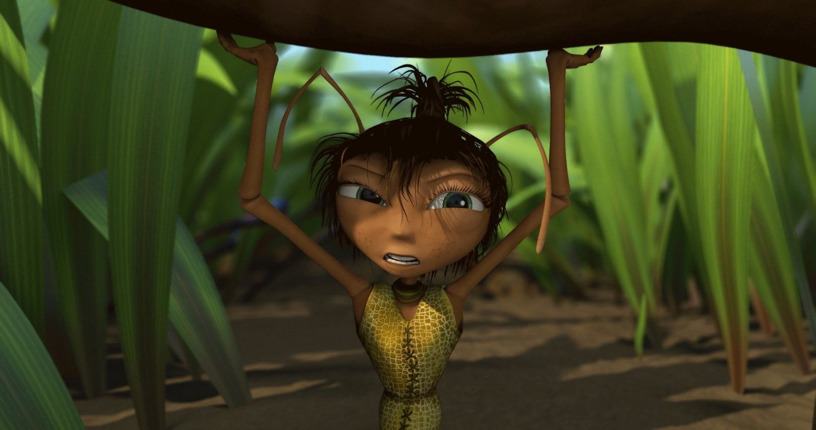 Photo du film Cricket & Antoinette - Photo 19 sur 24 - AlloCiné