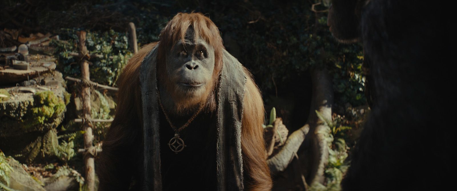Photo du film La Planète des Singes : Le Nouveau Royaume - Photo 32 sur ...