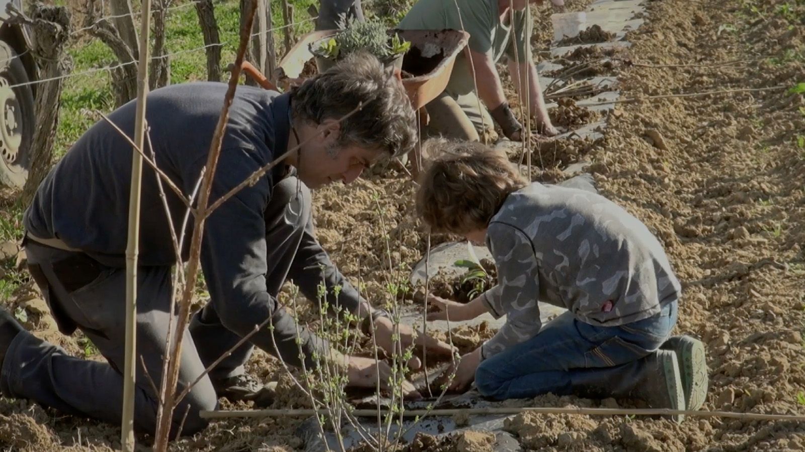 Photo du film Prendre soin de la Terre - Photo 13 sur 13 - AlloCiné