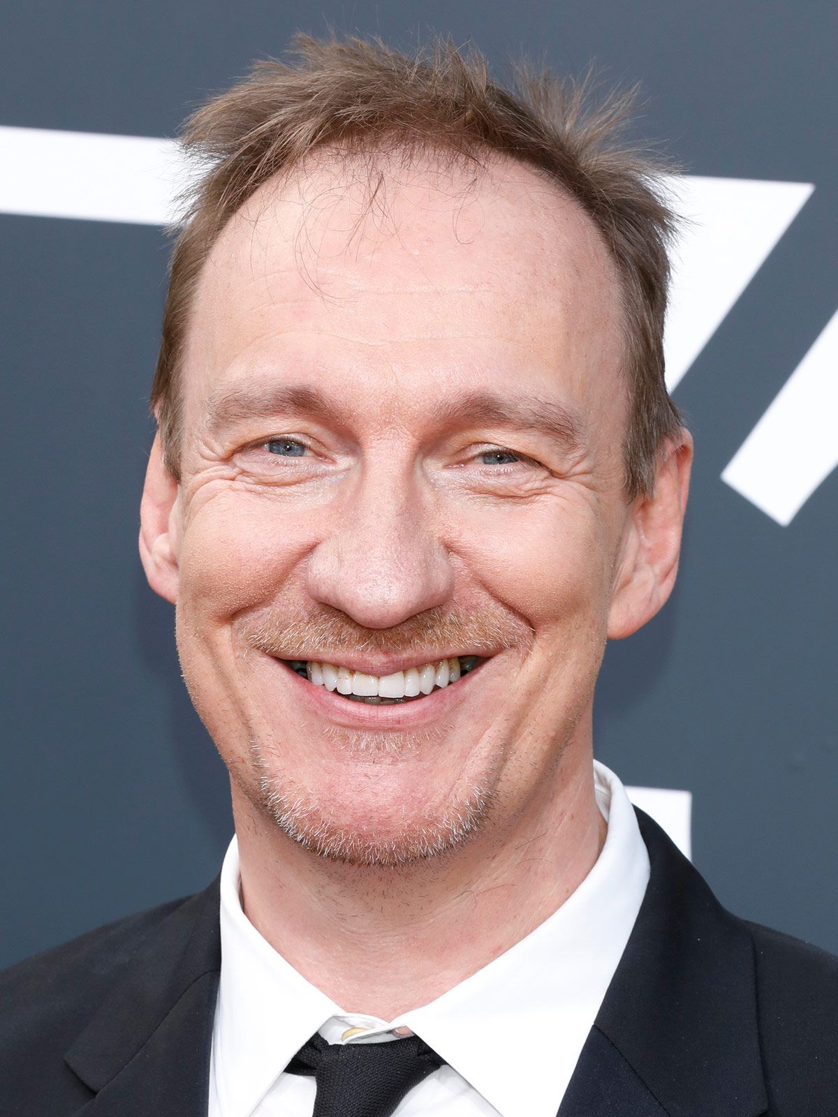 David Thewlis : Filmographie - AlloCiné