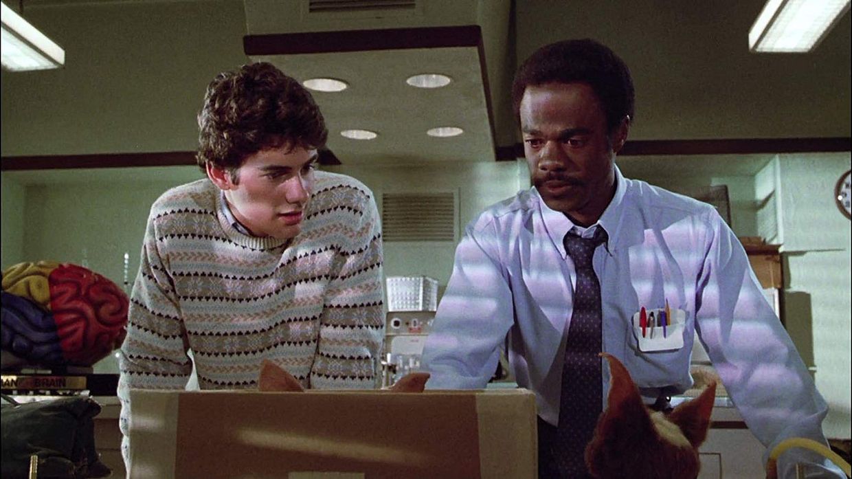 Gremlins (1984) au Cinéma Orléans - Les Carmes