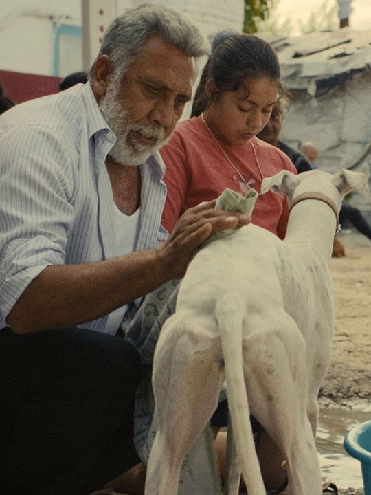 Affiche du film Sleepless City - Photo 1 sur 7 - AlloCiné