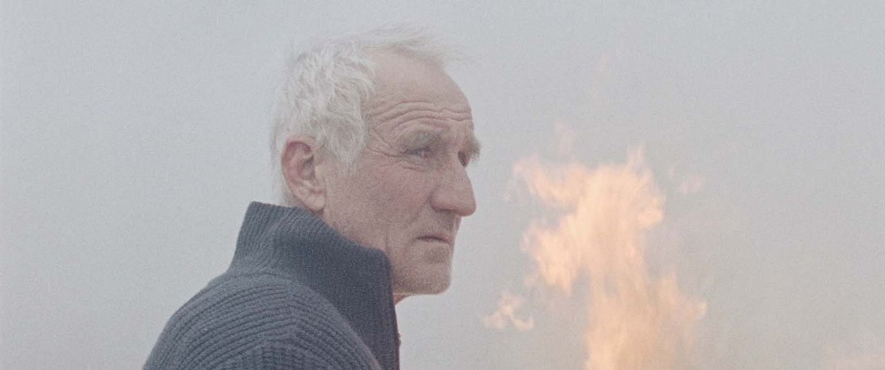 Photo du film Reedland - Photo 2 sur 4 - AlloCiné