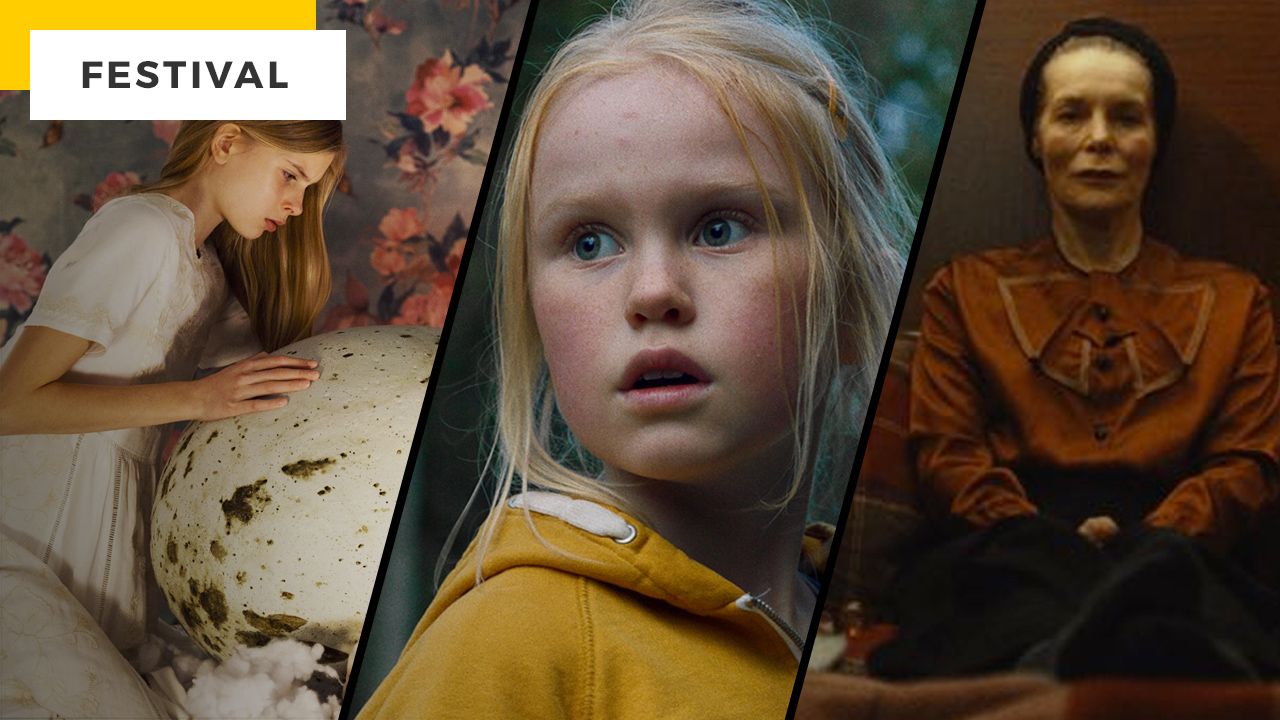 Alice Caputo's Instagram, Twitter & Facebook on IDCrawl