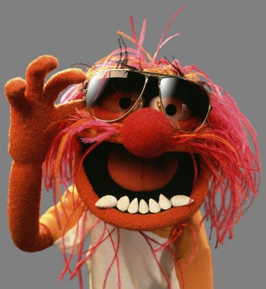 The Muppets : Photo - 29 sur 69 - AlloCiné