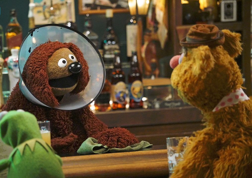The Muppets : The Muppets : Photo - 16 sur 77 - AlloCiné