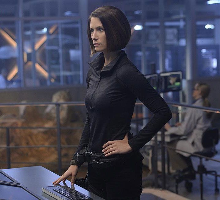 Supergirl Supergirl Photo Chyler Leigh 581 Sur 621 Allociné