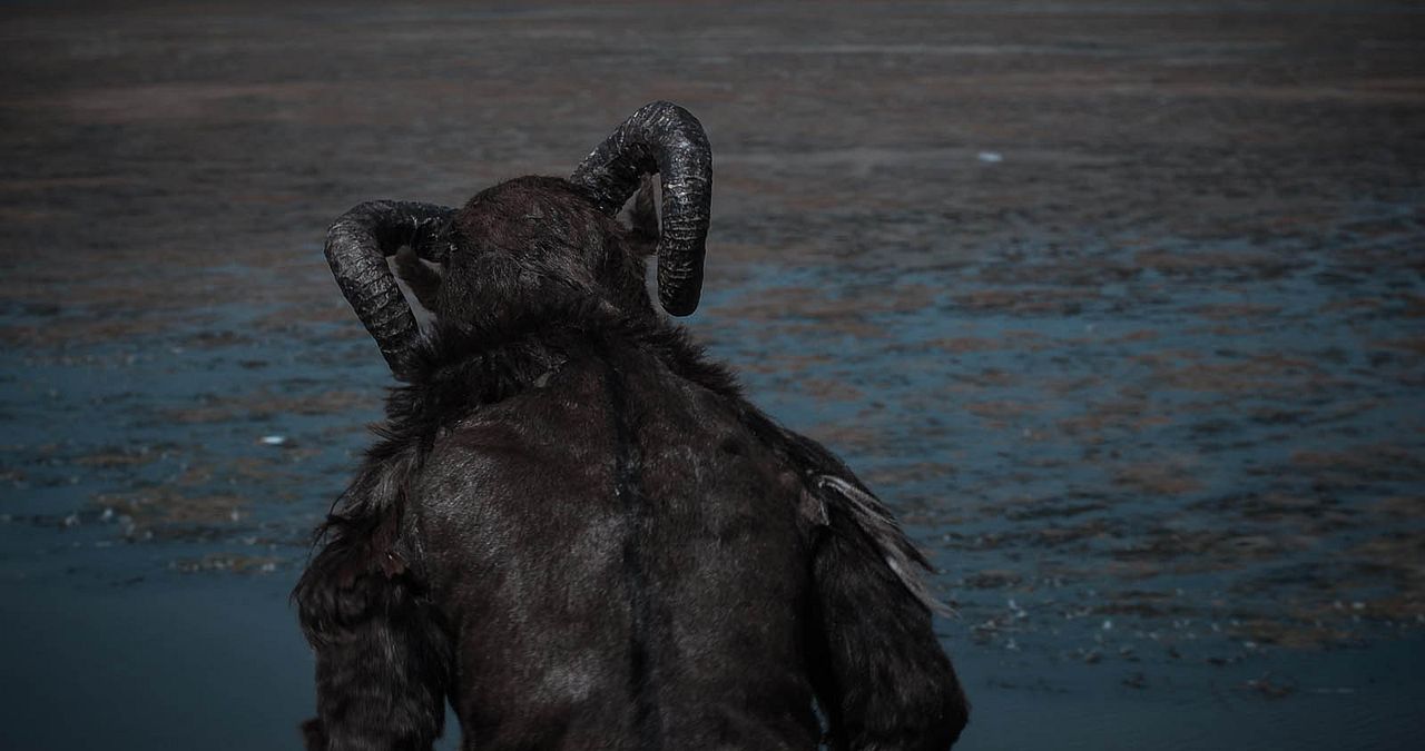 Photo de Heyvan - Photo 3 sur 8 - AlloCiné