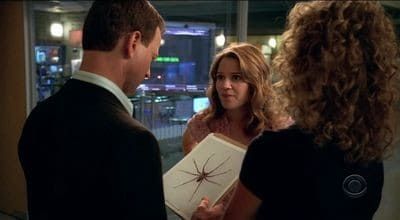 Poster Les Experts : Manhattan saison 3 - Affiche 134 sur 427 - AlloCiné