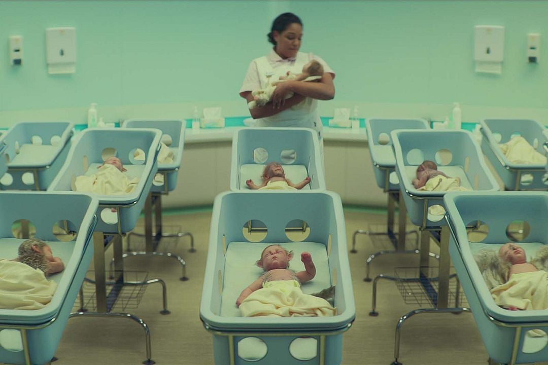 Sweet Tooth : Sweet Tooth : Photo - 36 sur 60 - AlloCiné