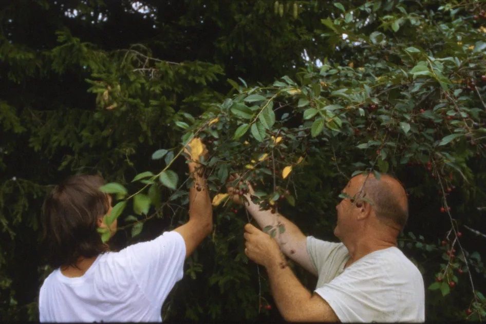 Photo de Uogos - Photo 3 sur 6 - AlloCiné