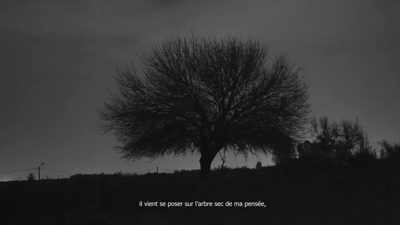 Photo de Ayyur - Photo 2 sur 6 - AlloCiné
