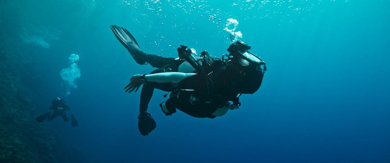 Photo du film The Dive - Photo 16 sur 22 - AlloCiné