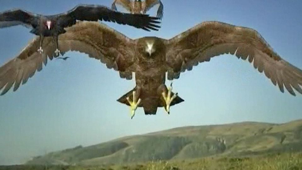 Vidéo de Birdemic 2: The Resurrection - "Birdemic" - AlloCiné