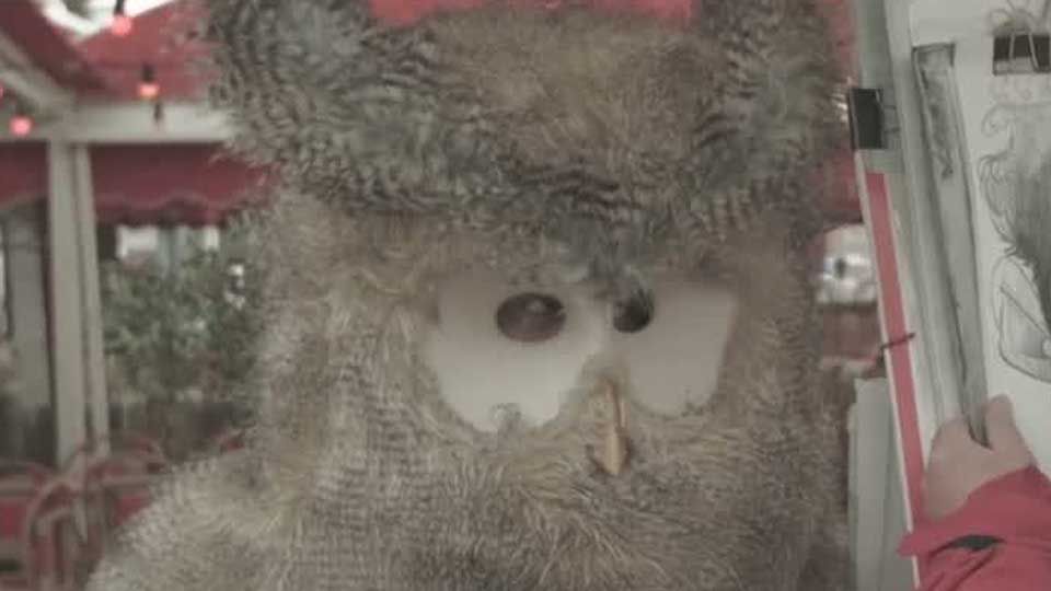 Vidéo de Hibou - Hibou - Ramzy en caméra cachée - AlloCiné