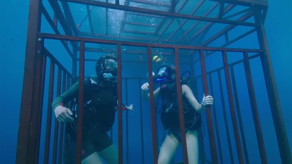 Trailer du film 47 Meters Down - 47 Meters Down Bande-annonce VF - AlloCiné