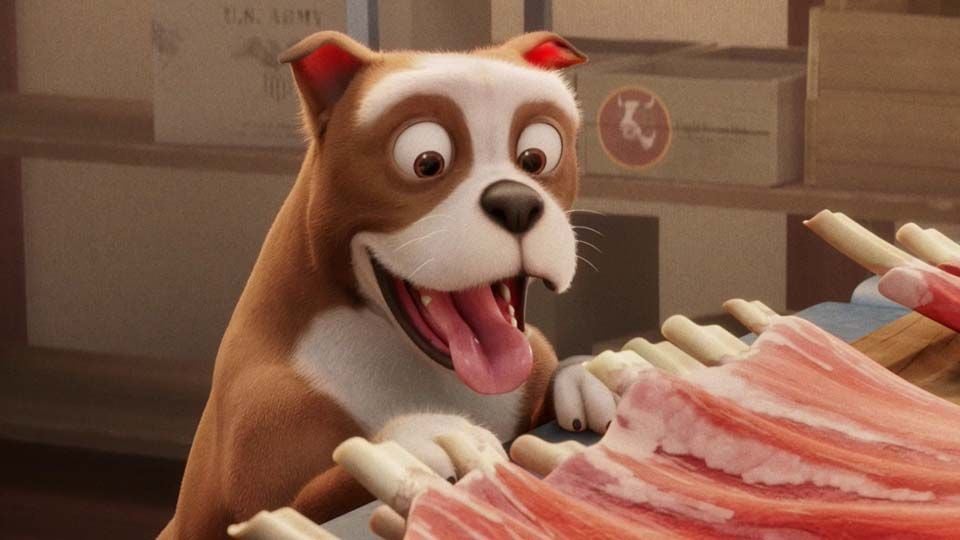 Trailer du film Stubby - Stubby Bande-annonce VF - AlloCiné