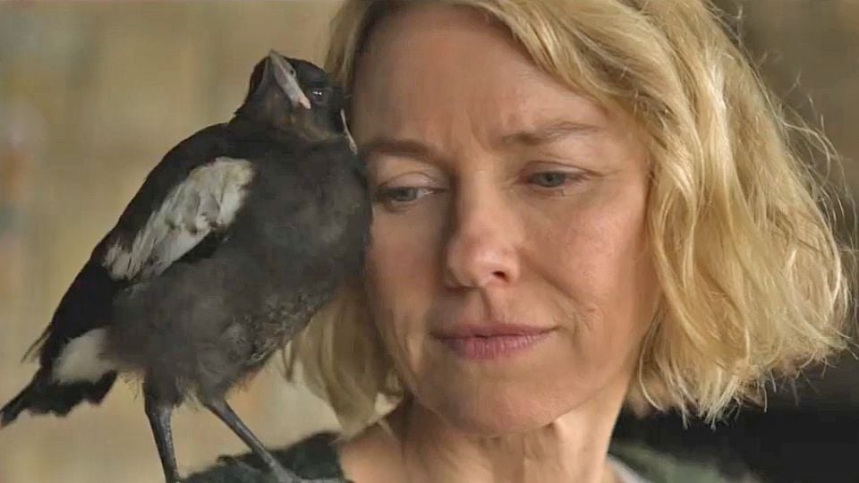 Trailer du film Penguin Bloom - Penguin Bloom Bande-annonce VO - AlloCiné